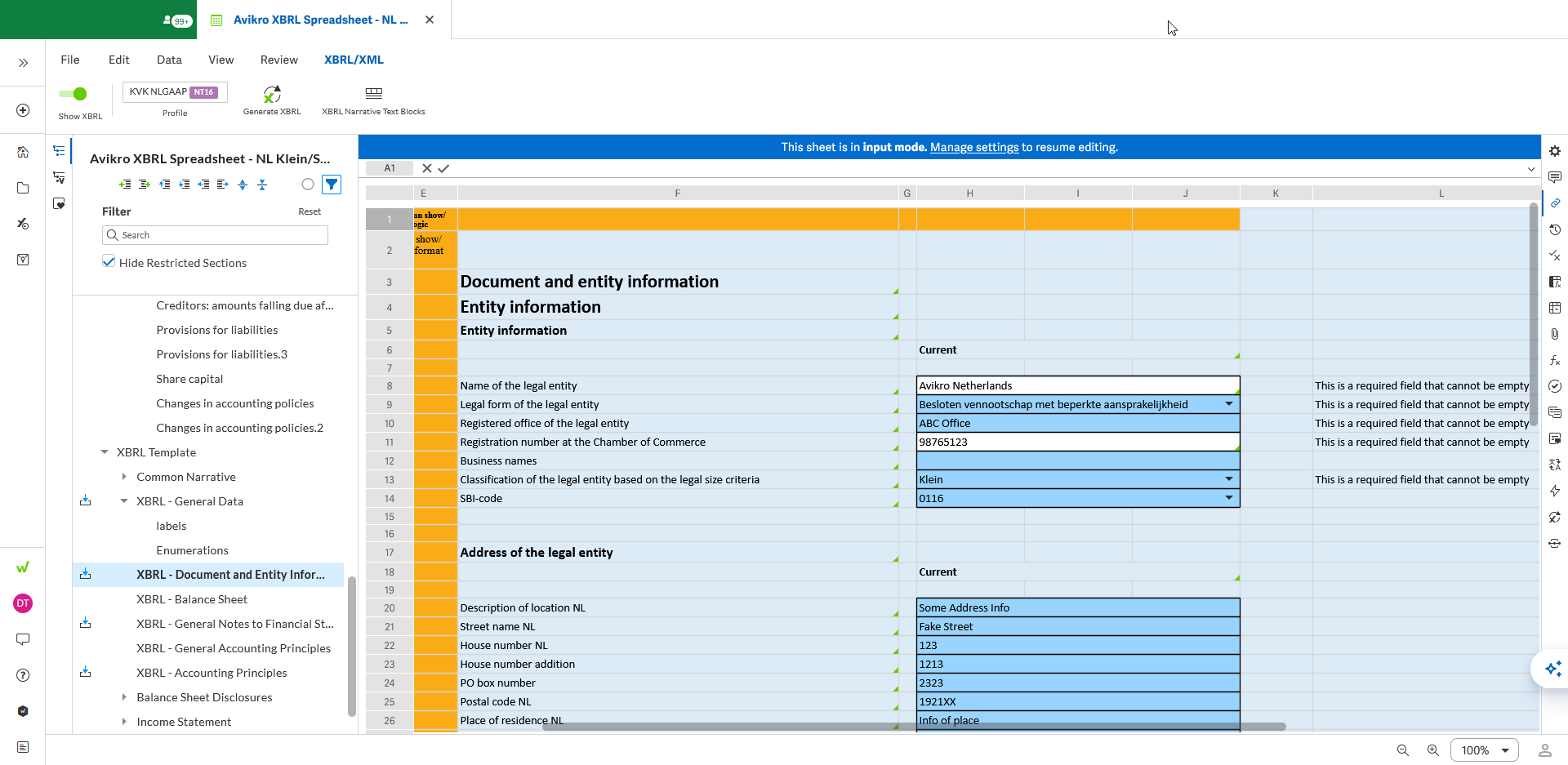 Netherlands XBRL Overview – Support Center