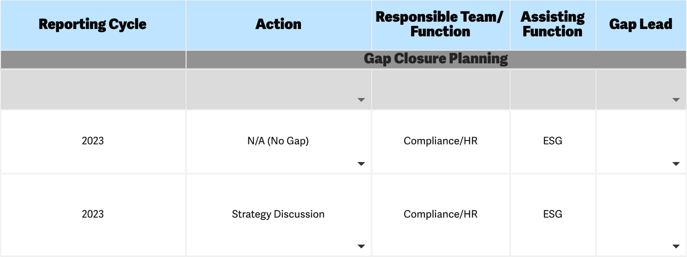 Assess gaps in ESRS for ESG reporting – 支援中心